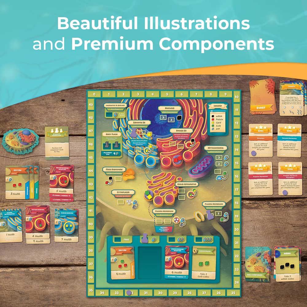 Cytosis: A Cell Biology Board Game | A Science Accurate Strategy Board Game About Building Proteins, Carbohydrates, Enzymes, Organelles, & Membranes | Fun Science Games for Adults & Family Game Night