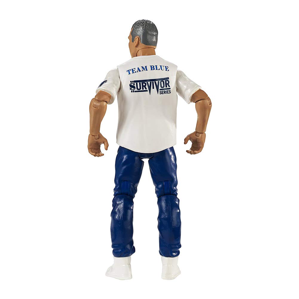 WWE Shane McMahon Action Figure