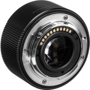 Panasonic LUMIX 2.0X Teleconverter Lens, Black (DMW-TC20)