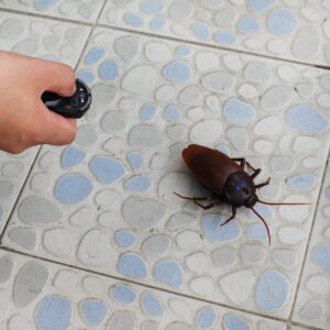 Tipmant RC Cockroach Remote Control Car Vehicle Animal Toys Electronic Realistic Fake Big Insect Bug Glowing Eyes Kids Gift