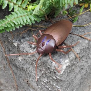 Tipmant RC Cockroach Remote Control Car Vehicle Animal Toys Electronic Realistic Fake Big Insect Bug Glowing Eyes Kids Gift