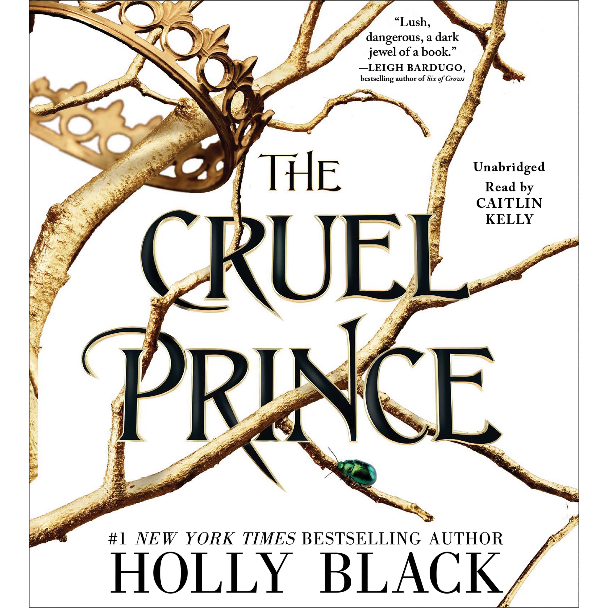 The Cruel Prince: The Folk of the Air, Book 1