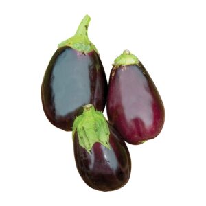 burpee black beauty (organic) (heirloom) eggplant seeds 50 seeds