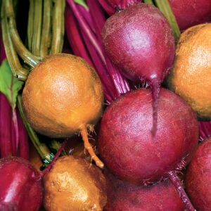 burpee cook's custom mix beet seeds 300 seeds