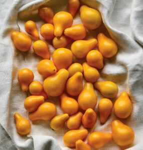 burpee 'yellow pear' heirloom, yellow pear tomato, 150 non-gmo seeds