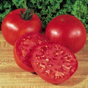 burpee 61234e big boy tomato, 125 seeds, red