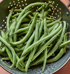 burpee blue lake 47 bush bean seeds 8 ounces of seed