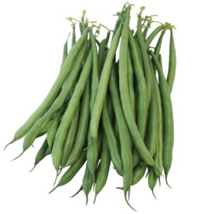 burpee french filet bush bean seeds 8 ounces of seed