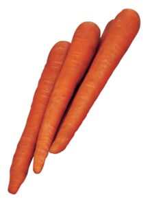 burpee danvers half long carrot seeds 3000 seeds