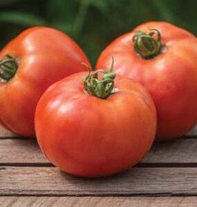 burpee 'bushsteak' hybrid, red beefsteak slicing tomato, 40 non-gmo seeds