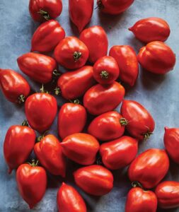 burpee 'big mama' hybrid, large red paste tomato, 50 non-gmo seeds