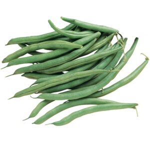 burpee blue lake 274 (organic) bush bean seeds 2 ounces of seed