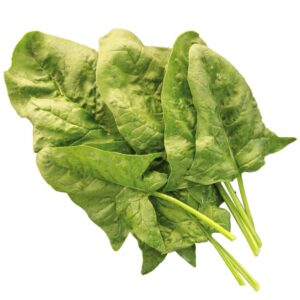 burpee double take spinach seeds 200 seeds