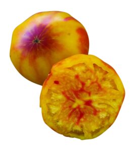 burpee 'hillbilly' heirloom | yellow slicing tomato | 30 seeds