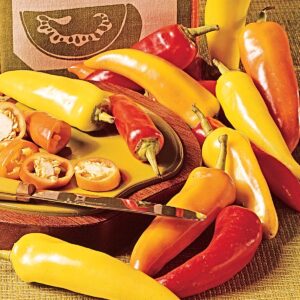 burpee hungarian wax hot pepper seeds 100 seeds