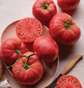 burpee 'brandywine', pink beefseak tomato, 90 non-gmo seeds