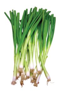 burpee white lisbon bunching onion seeds 1000 seeds