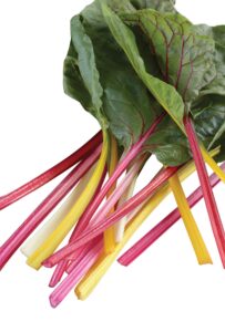 burpee bright lights blend swiss chard seeds 100 seeds