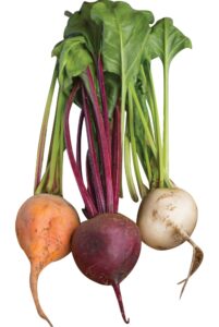 burpee three color blend beet seeds 200 seeds