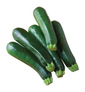 burpee elite hybrid summer squash seeds 25 seeds