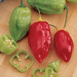 burpee caribbean red hot pepper seeds 30 seeds