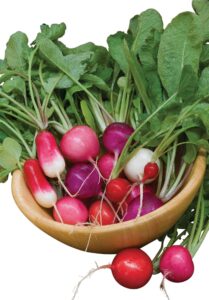 burpee cook's custom blend radish seeds 575 seeds