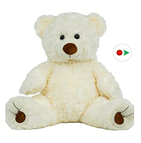 Record Your Own Plush 16 Inch White Twist Bear - Ready 2 Love in a Few Easy Steps