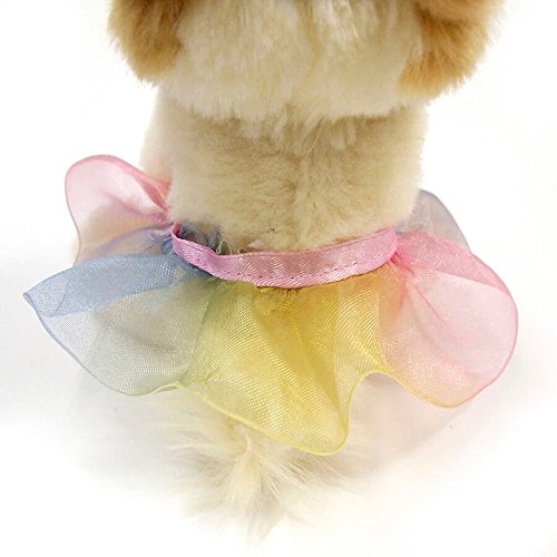 GUND World’s Cutest Dog Boo Itty Bitty Boo #046 Princess Stuffed Animal Plush, 5", Ivory/Silver (4060864)