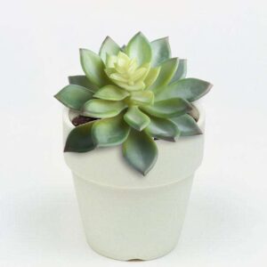 BCP Pack of 2 Realistic Cute Green Home Garden Artificial Plastic Snowdrop Echeverias Succulent Plants Unpotted