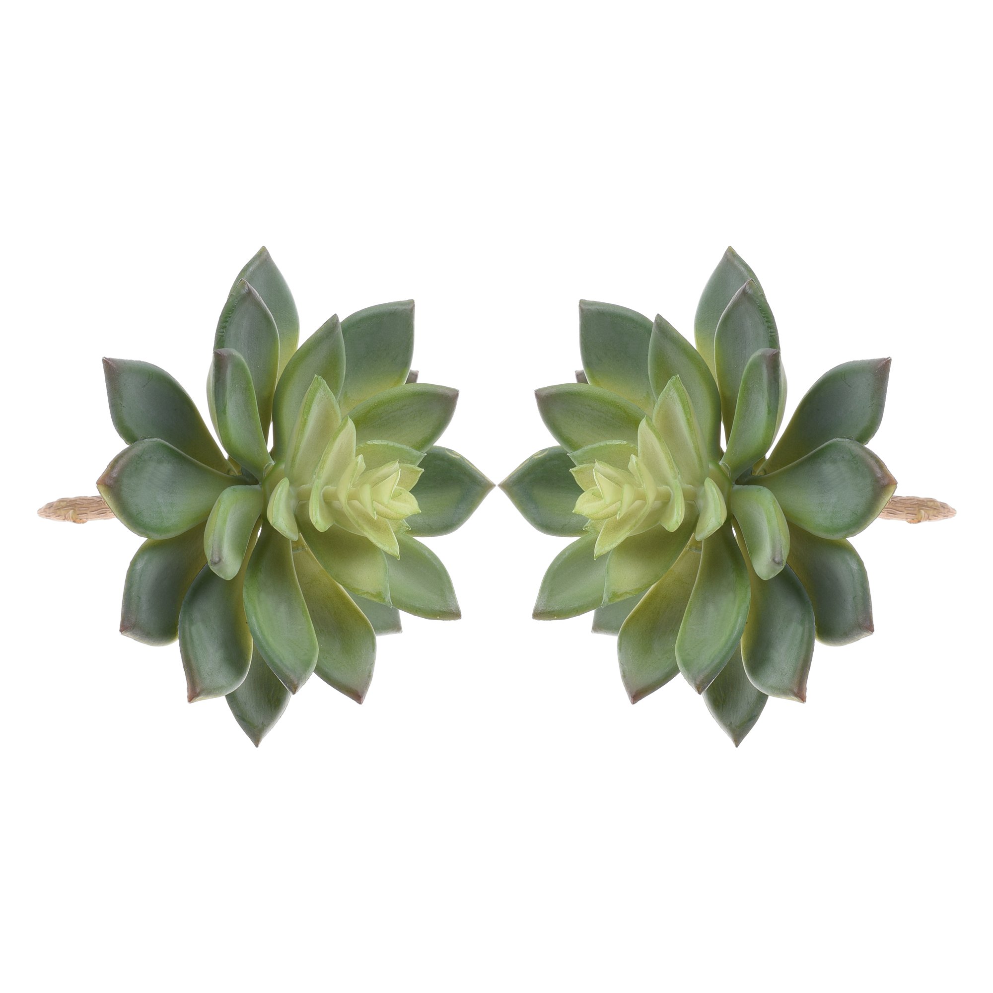 BCP Pack of 2 Realistic Cute Green Home Garden Artificial Plastic Snowdrop Echeverias Succulent Plants Unpotted