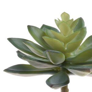 BCP Pack of 2 Realistic Cute Green Home Garden Artificial Plastic Snowdrop Echeverias Succulent Plants Unpotted