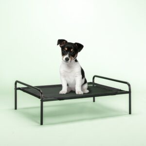 zinus elevated metal framed comfort pet bed, small, black