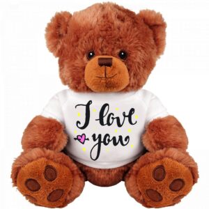 teddy bear couple gift: funny 13 inch teddy bear stuffed animal : i love you : romantic gift : best couple gift