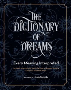 the dictionary of dreams: every meaning interpreted