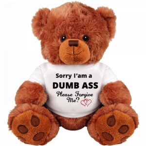 sorry and forgive me gift: funny teddy bear couple gift: medium teddy bear stuffed animal