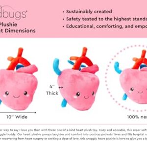 nerdbugs Heart Plush - I Aorta to Tell You How Much I Love You!- Adorable, Cute and Funny Cardiology Heart Plush/ Health Educational Gift/ Heart Surgery Gift/ Heart attack gift