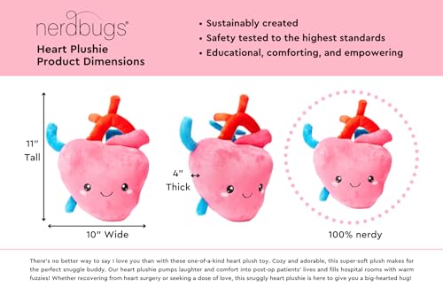 nerdbugs Heart Plush - I Aorta to Tell You How Much I Love You!- Adorable, Cute and Funny Cardiology Heart Plush/ Health Educational Gift/ Heart Surgery Gift/ Heart attack gift