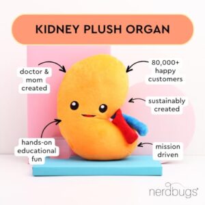 nerdbugs Kidney Plush - Urine for a Treat!- Large Kidney Plush Organ Toy/Kidney Transplant Gift/Health Education Gift/Dialysis Gift