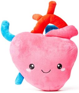 nerdbugs heart plush - i aorta to tell you how much i love you!- adorable, cute and funny cardiology heart plush/ health educational gift/ heart surgery gift/ heart attack gift