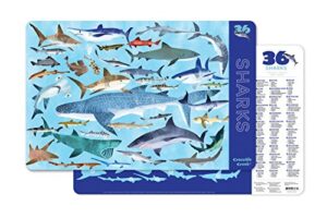 crocodile creek 36 animals/sharks 2-sided placemat, blue/green/teal/grey/red