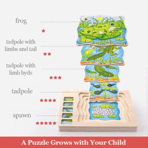 Wooden Puzzles for Kids Age 4-8, 5 Layers Life Cycle of a Frog Montessori Jigsaw Puzzle for Kids, Children Preschool Learning Educational Puzzles Toys for Boys and Girls