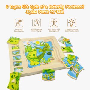 Wooden Puzzles for Kids Age 4-8, 5 Layers Life Cycle of a Frog Montessori Jigsaw Puzzle for Kids, Children Preschool Learning Educational Puzzles Toys for Boys and Girls