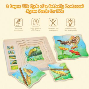 Wooden Puzzles for Kids Ages 4-8, 5 Layers Life Cycle of a Butterfly Montessori Jigsaw Puzzle for Kids, Children Preschool Learning Educational Puzzles Toys for Boys and Girls