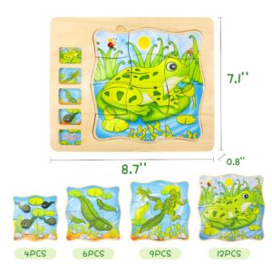 Wooden Puzzles for Kids Age 4-8, 5 Layers Life Cycle of a Frog Montessori Jigsaw Puzzle for Kids, Children Preschool Learning Educational Puzzles Toys for Boys and Girls