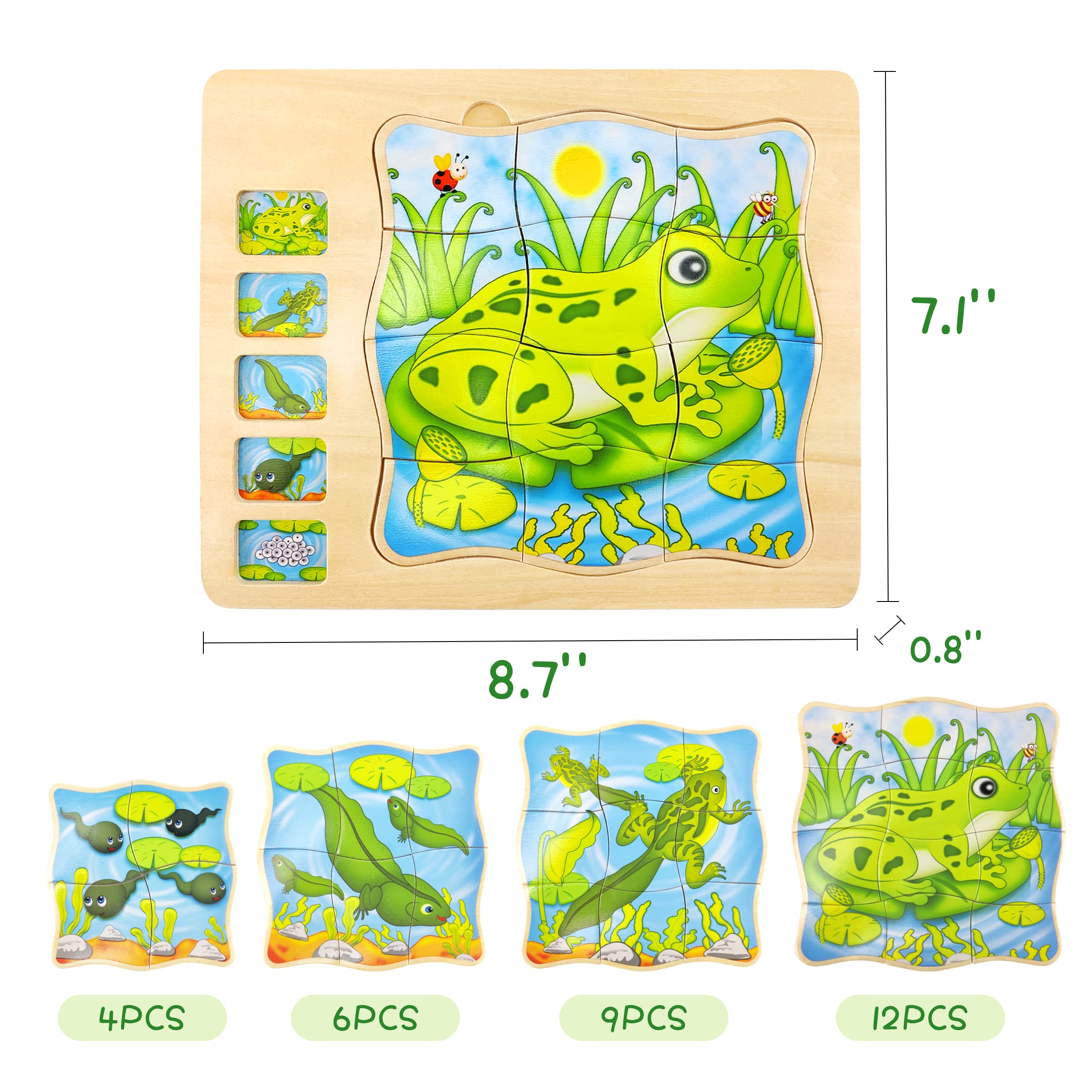 Wooden Puzzles for Kids Age 4-8, 5 Layers Life Cycle of a Frog Montessori Jigsaw Puzzle for Kids, Children Preschool Learning Educational Puzzles Toys for Boys and Girls