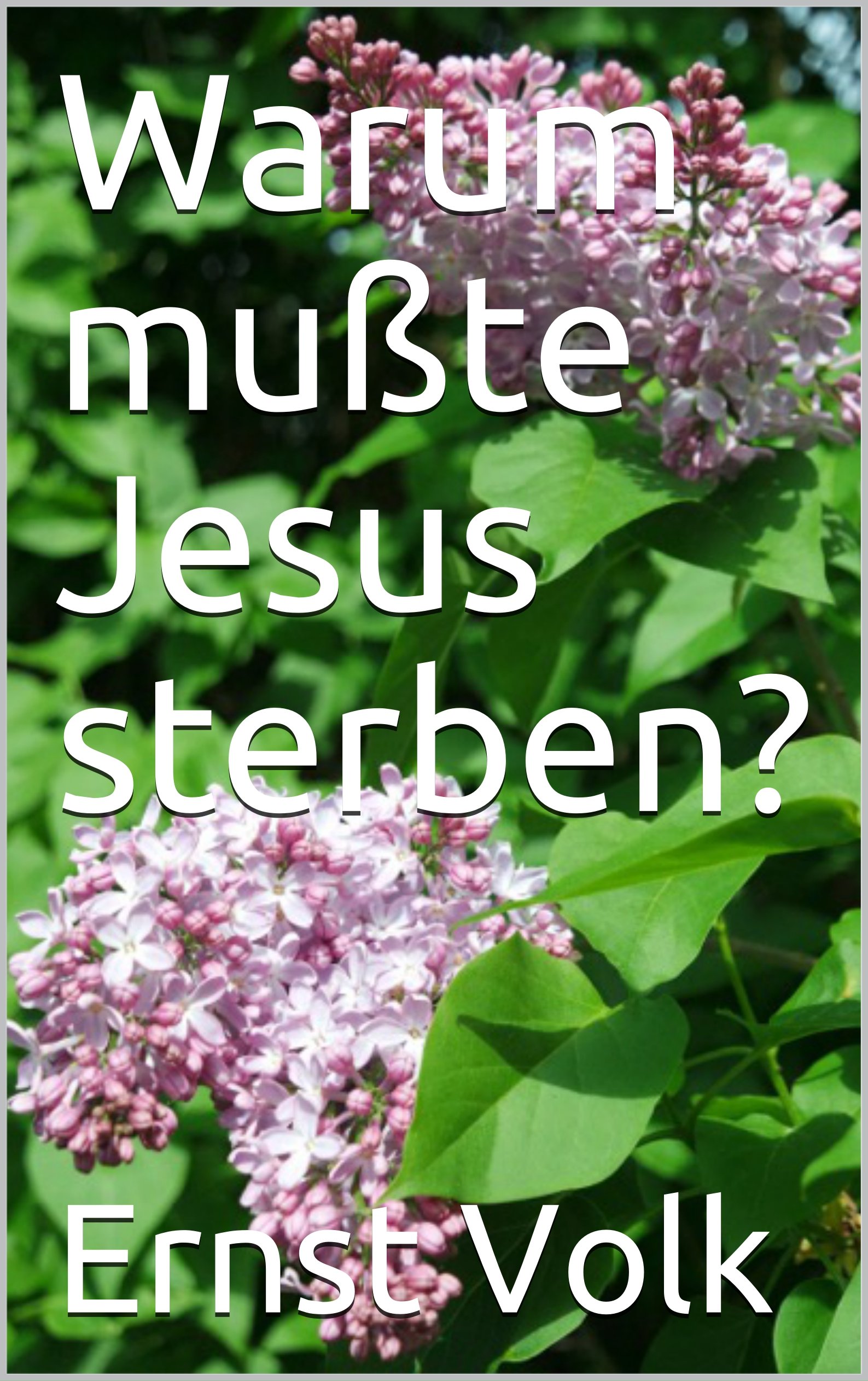 Warum mußte Jesus sterben? (German Edition)