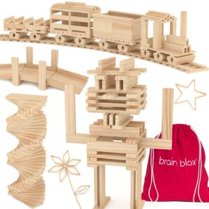 brain blox natural wooden blocks for kids ages 4-8 - montessori blocks for hands-on learning - stem and architecture for kids (300 building blocks)