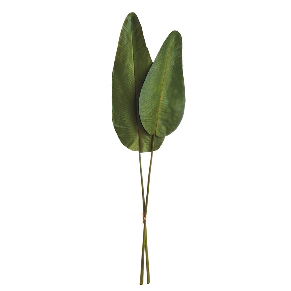 Napa Home & Garden Strelitzia Leaf 63" Bundle/2