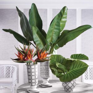 Napa Home & Garden Strelitzia Leaf 63" Bundle/2