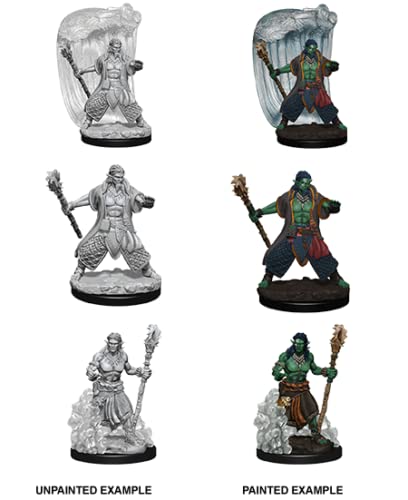 WizKids D&D Nolzurs Marvelous Unpainted Miniatures: Wave 5: Water Genasi Male Druid